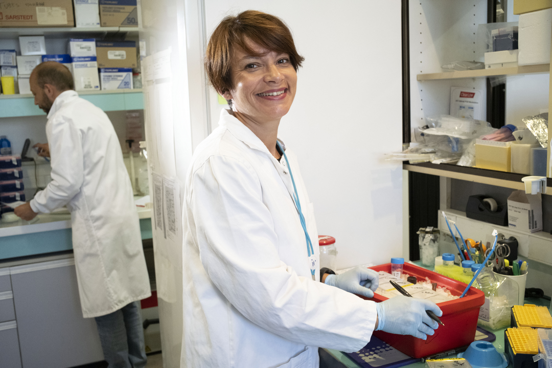 L’institut Cochin a 20 ans. Plongée au cœur d’une unité pluridisciplinaire - Inserm pro